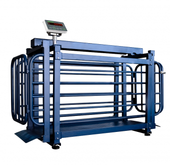 Farm Weighing Scales For Livestock Manufacturer,Farm Weighing Scales ...