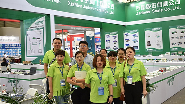 Weighing/Counting/Platform/Crane Scale,Weight Indicators,Precision Balance